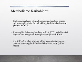 Metabolisme Karbohidrat di dalam tubuh manusia | PDF