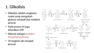 Metabolisme Karbohidrat Pada Sistem Manusia.ppt