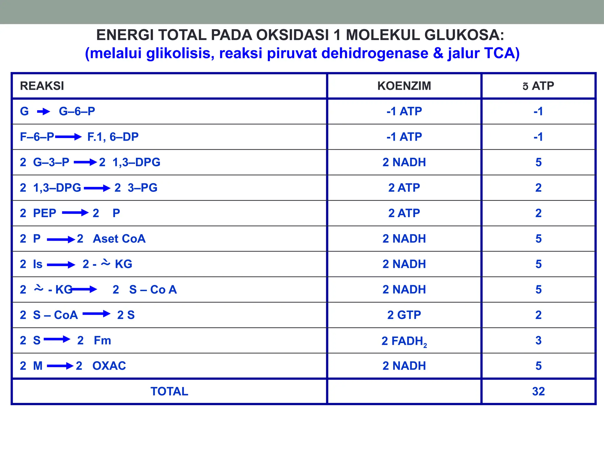 Metabolisme Karbohidrat (Proses Glikolisis) | PPTX