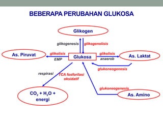 Metabolisme Karbohidrat (Proses Glikolisis) | PPTX