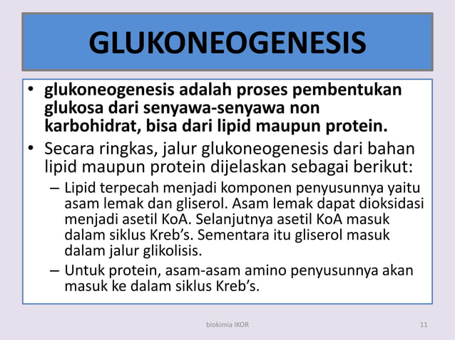 Metabolisme karbohidrat II | PPTX
