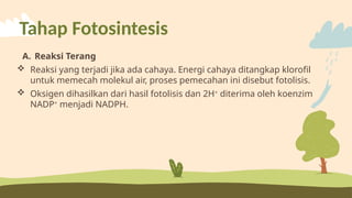 Proses Metabolisme Pada Makhluk Hidup KELAS XII.pptx