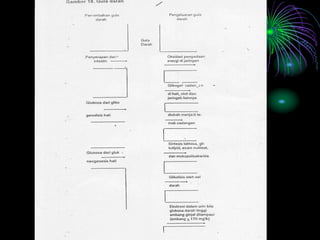 Metabolisme KH 11.ppt