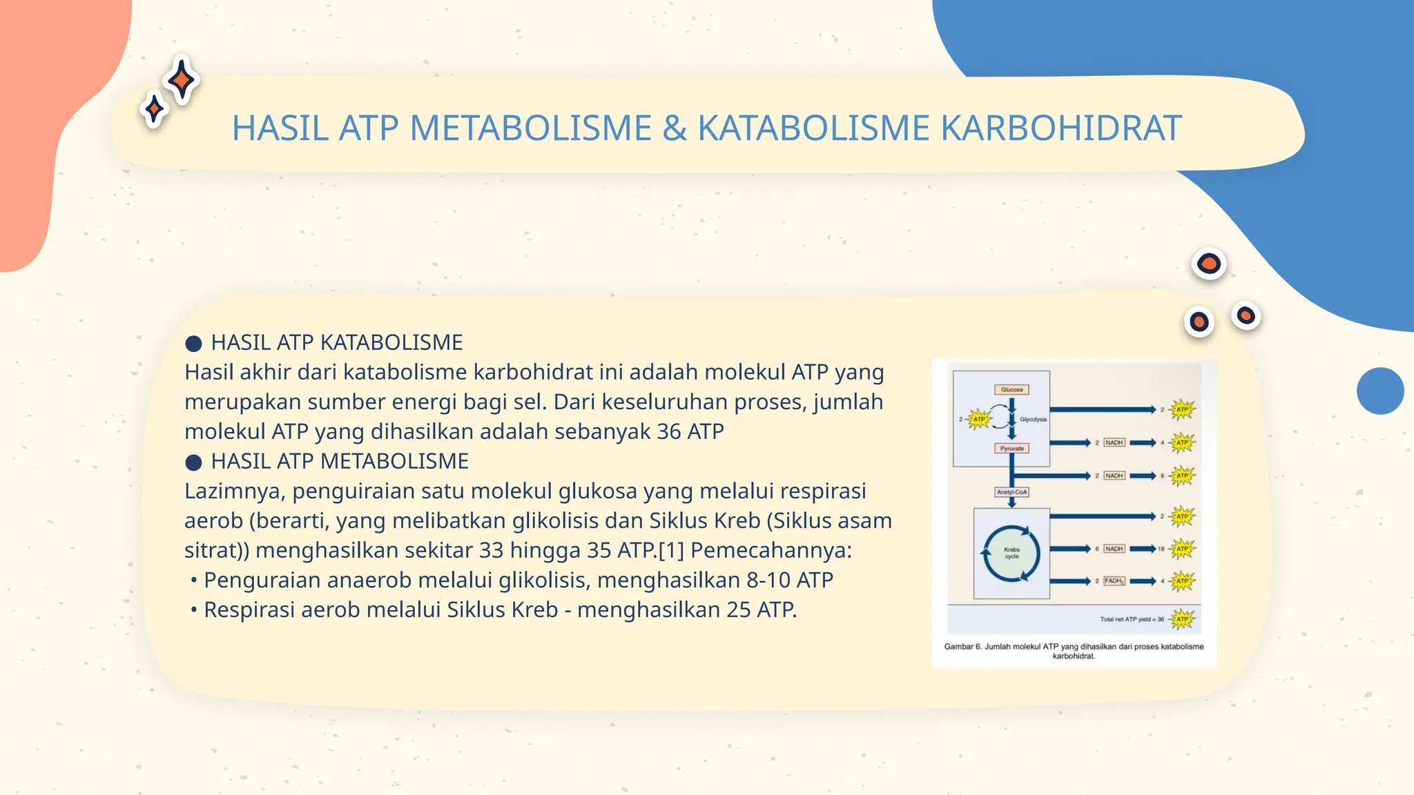Metabolisme dan Katabolisme Karbohidrat PPT | PPTX