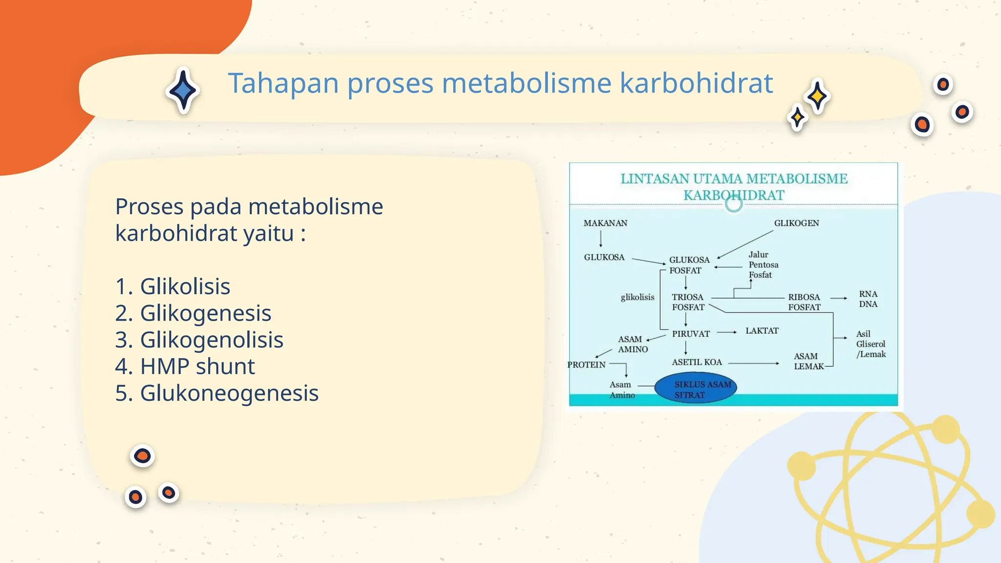 Metabolisme dan Katabolisme Karbohidrat PPT | PPTX