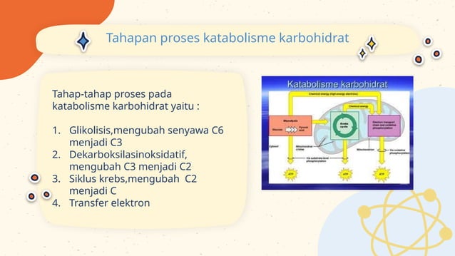 Metabolisme dan Katabolisme Karbohidrat PPT | PPT