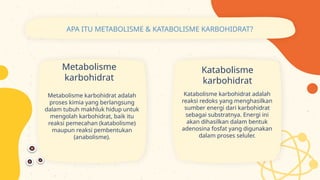 Metabolisme dan Katabolisme Karbohidrat PPT | PPTX