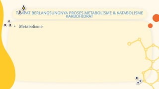 Metabolisme dan Katabolisme Karbohidrat PPT | PPTX