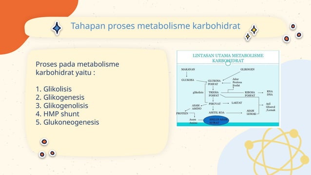 Metabolisme dan Katabolisme Karbohidrat PPT | PPT