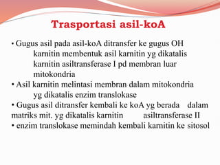 METABOLISME Lemak_Sri Maya Sari (Pend. Kimia UNRI) | PPT