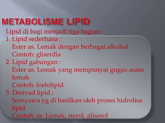 Metabolisme lipid | PPTX