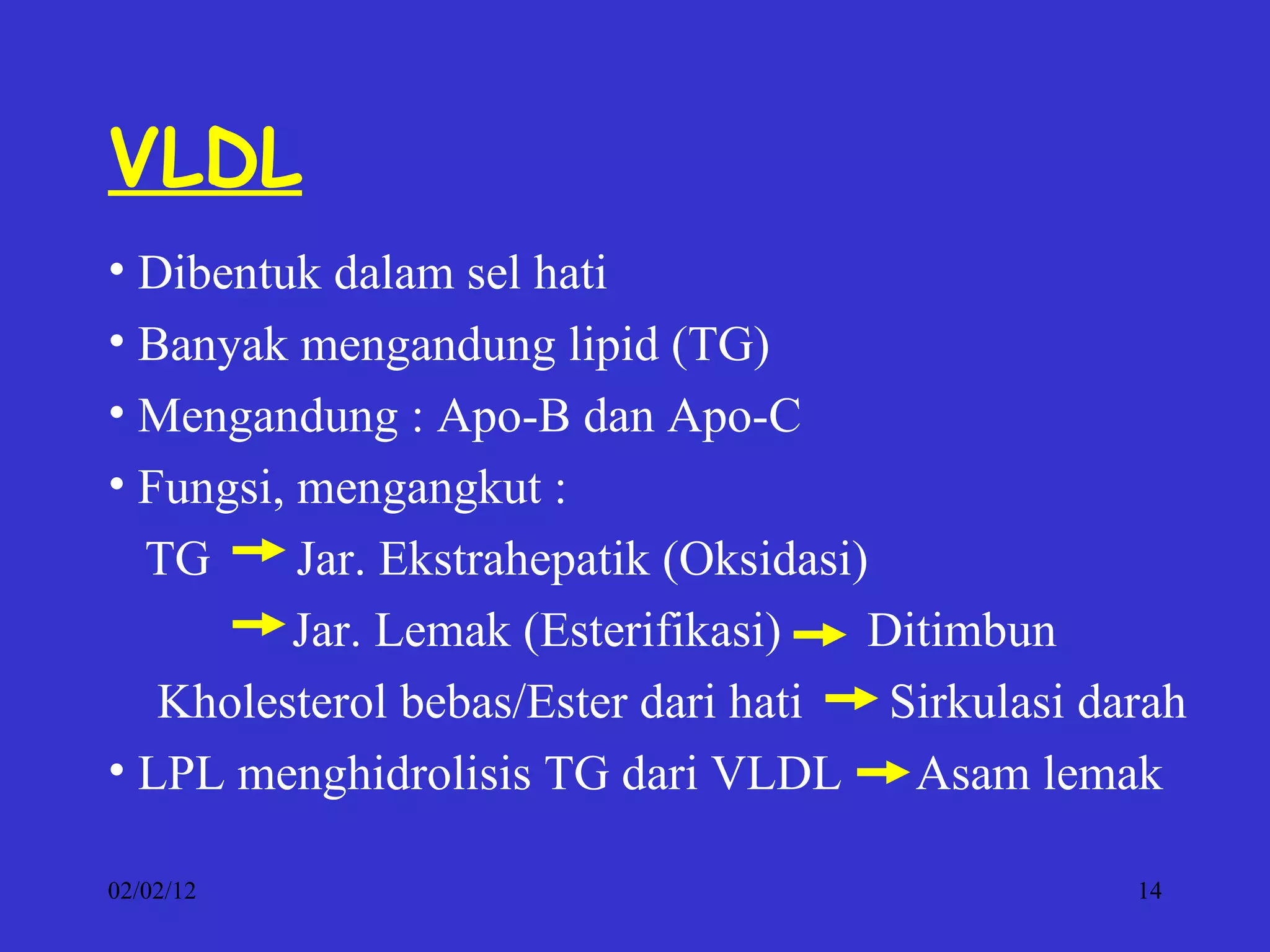 Metabolisme lipid | PPT