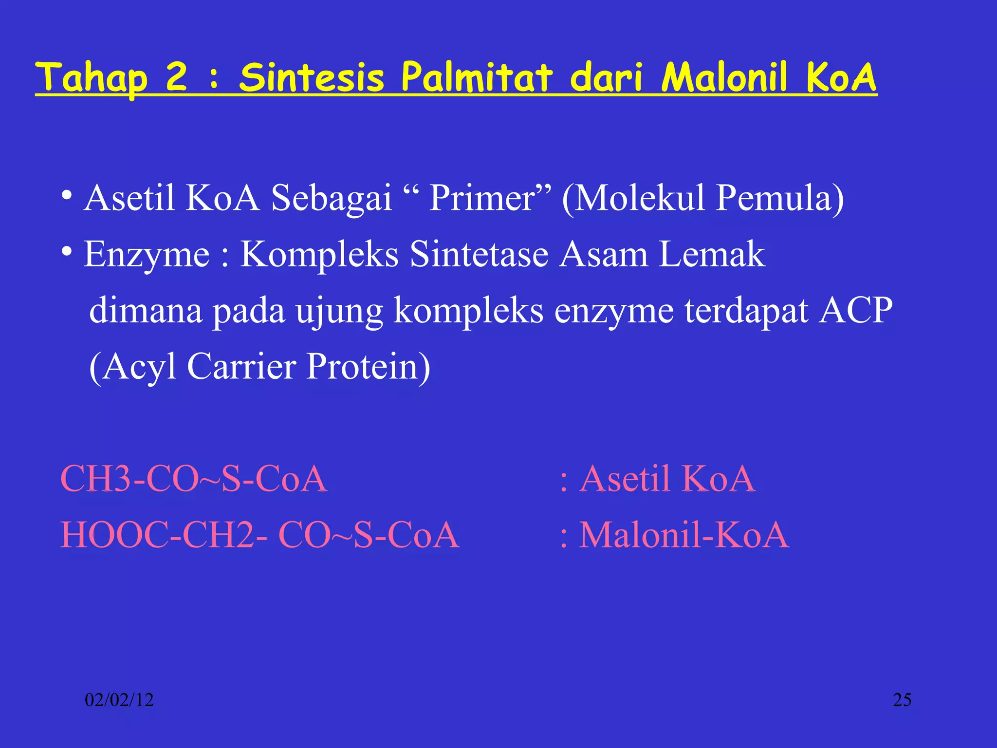 Metabolisme lipid | PPT