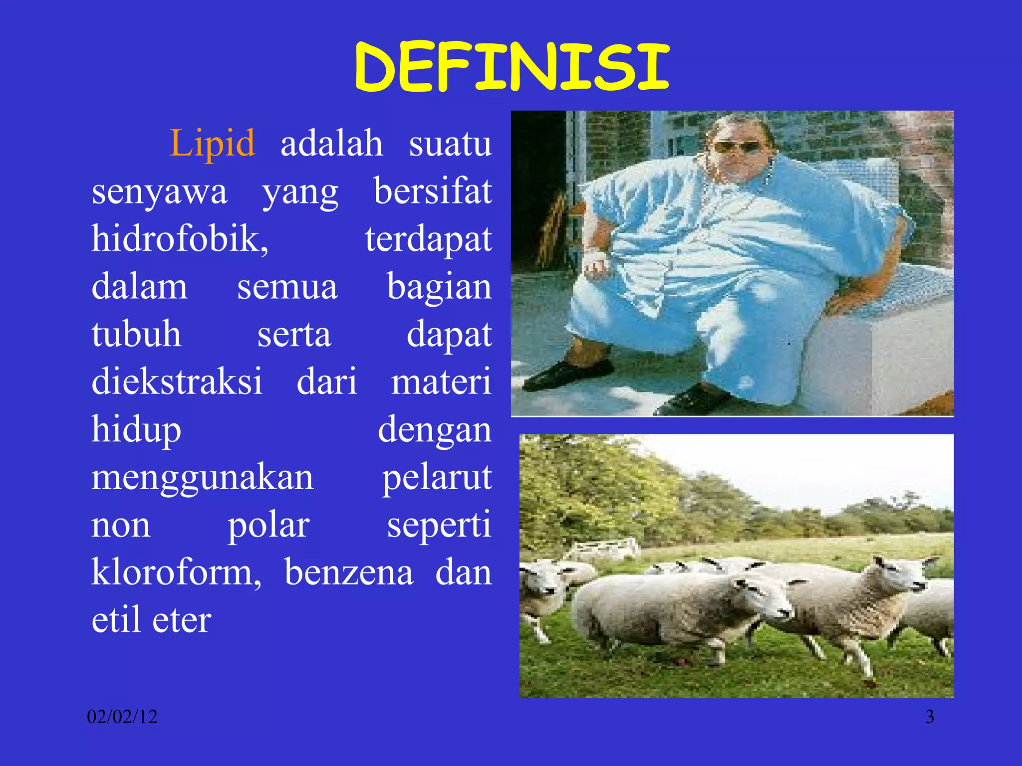 Metabolisme lipid | PPT