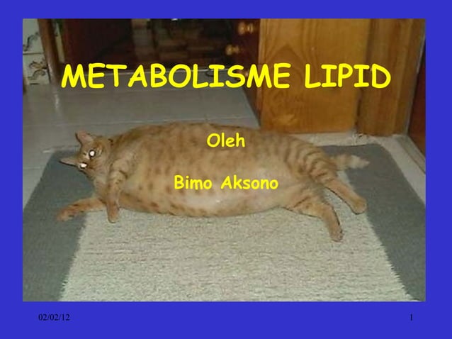 Metabolisme lipid | PPT