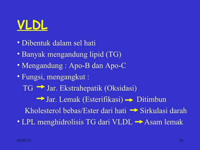 Metabolisme lipid | PPT