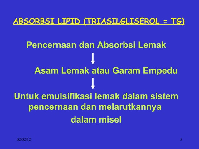 Metabolisme lipid | PPT