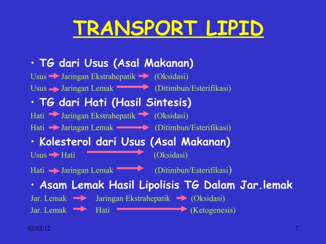 Metabolisme lipid | PPT
