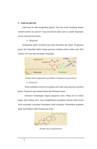 Metabolisme lipid | PDF