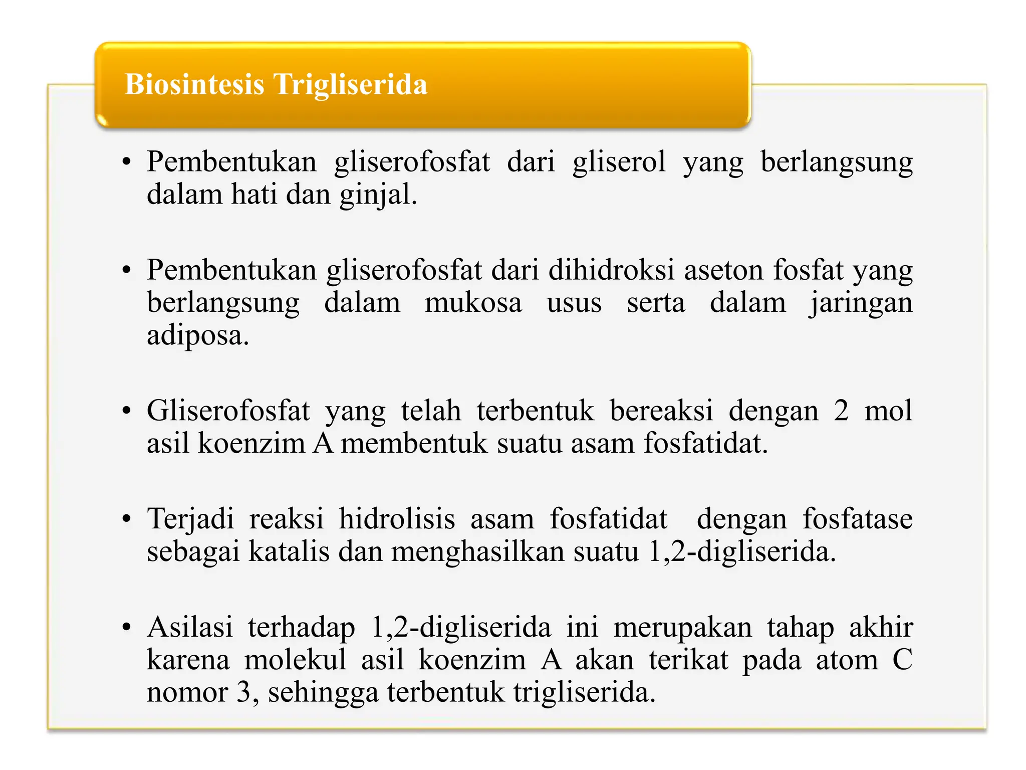 metabolismelipid dalam tubuh-190510101708.pdf