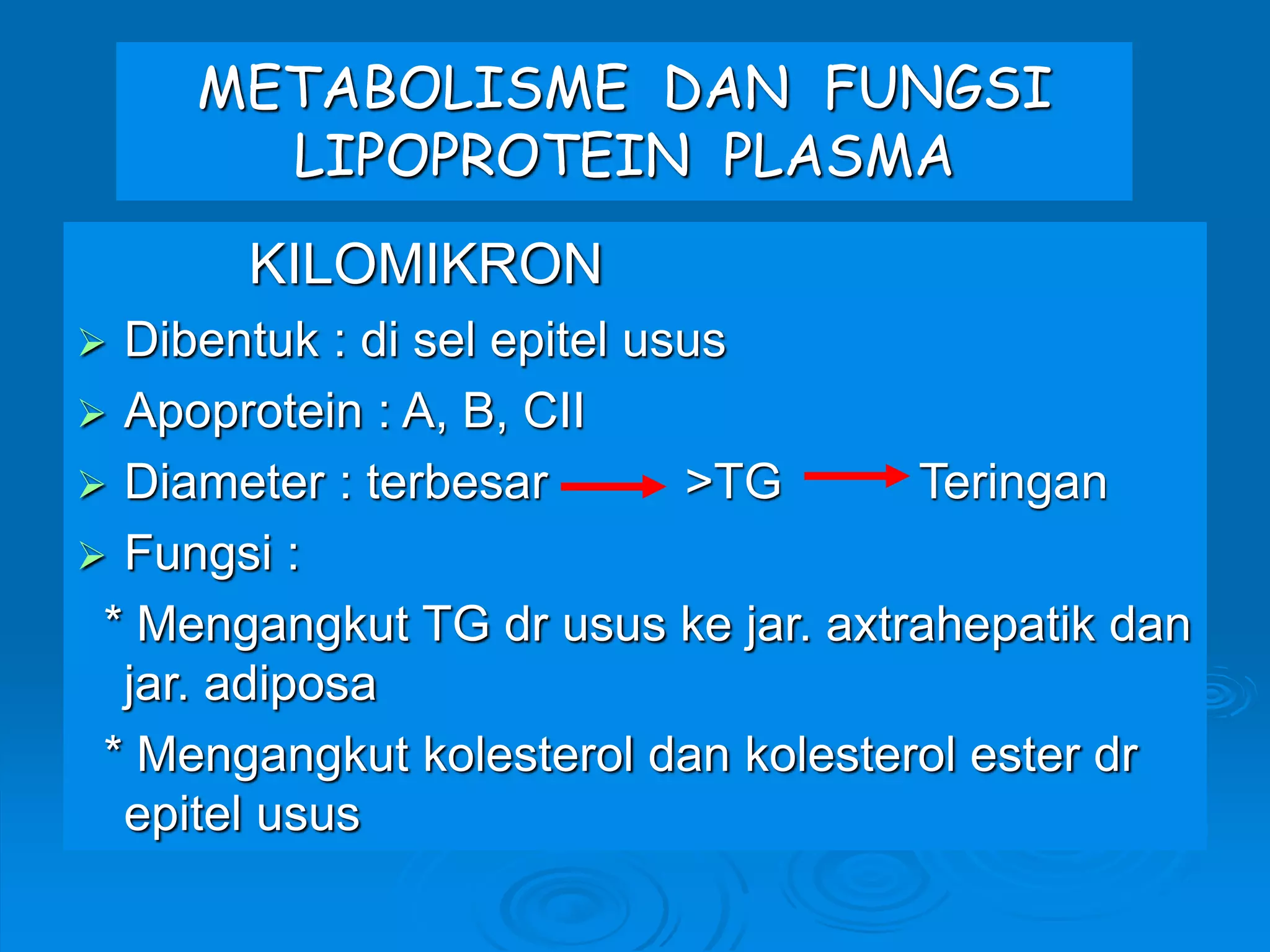 Metabolisme lipid.ppt