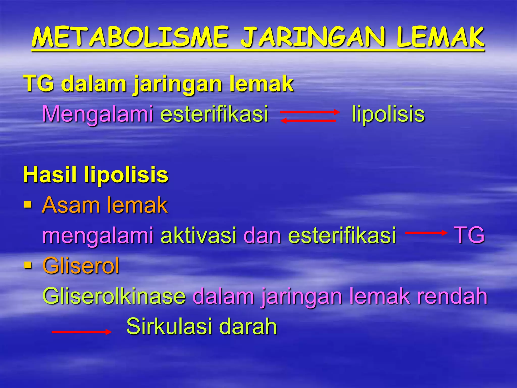 Metabolisme lipid.ppt