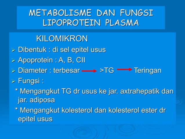Metabolisme lipid.ppt