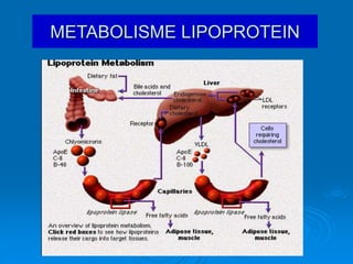 Metabolisme lipid.ppt
