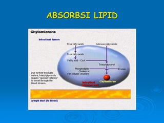 Metabolisme lipid.ppt