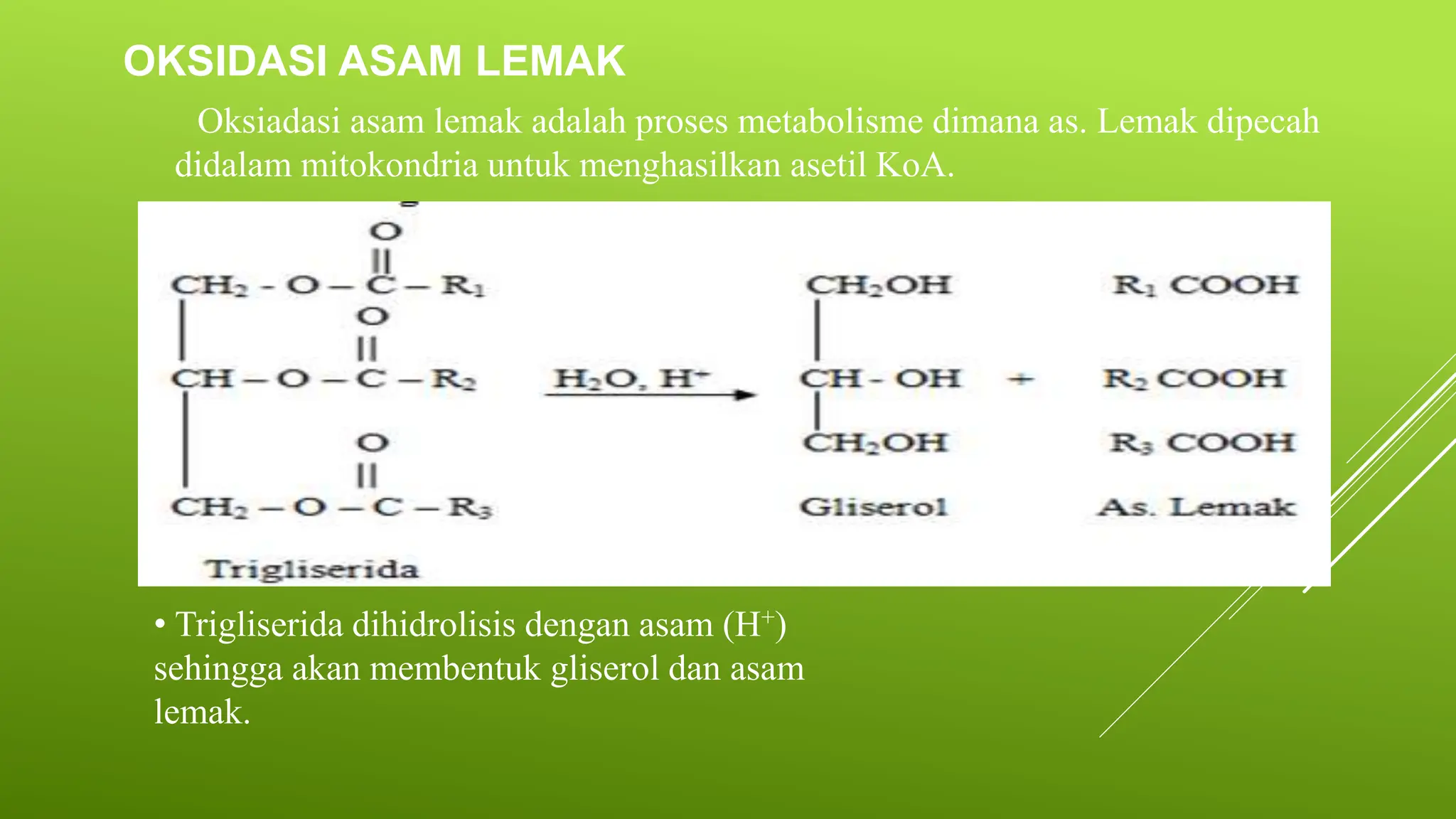 METABOLISME LIPID, Definisi, SIFAT FISIKA.pptx