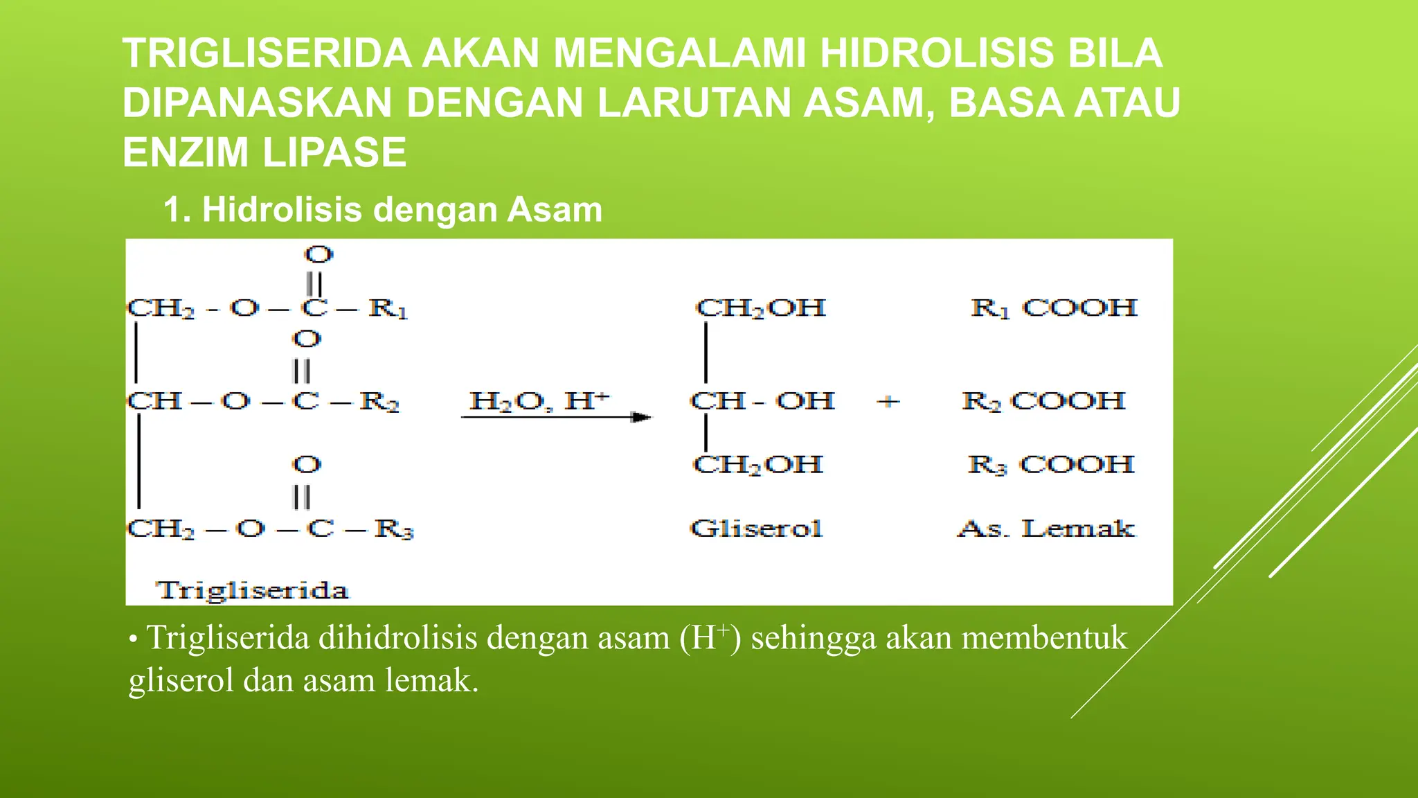 METABOLISME LIPID, Definisi, SIFAT FISIKA.pptx