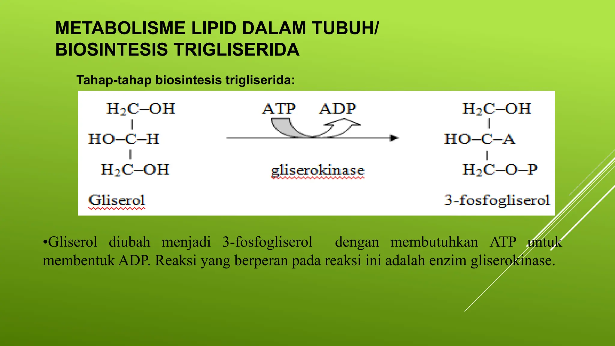 METABOLISME LIPID, Definisi, SIFAT FISIKA.pptx