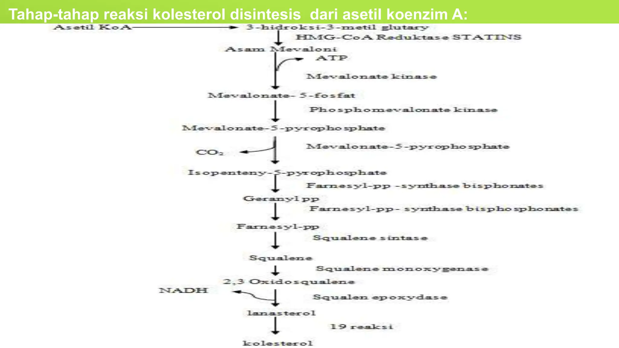 METABOLISME LIPID, Definisi, SIFAT FISIKA.pptx