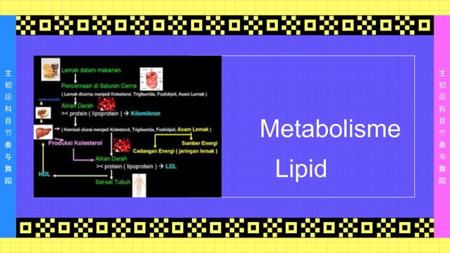 mekanisme metabolisme lipid.pptx........... | PPT