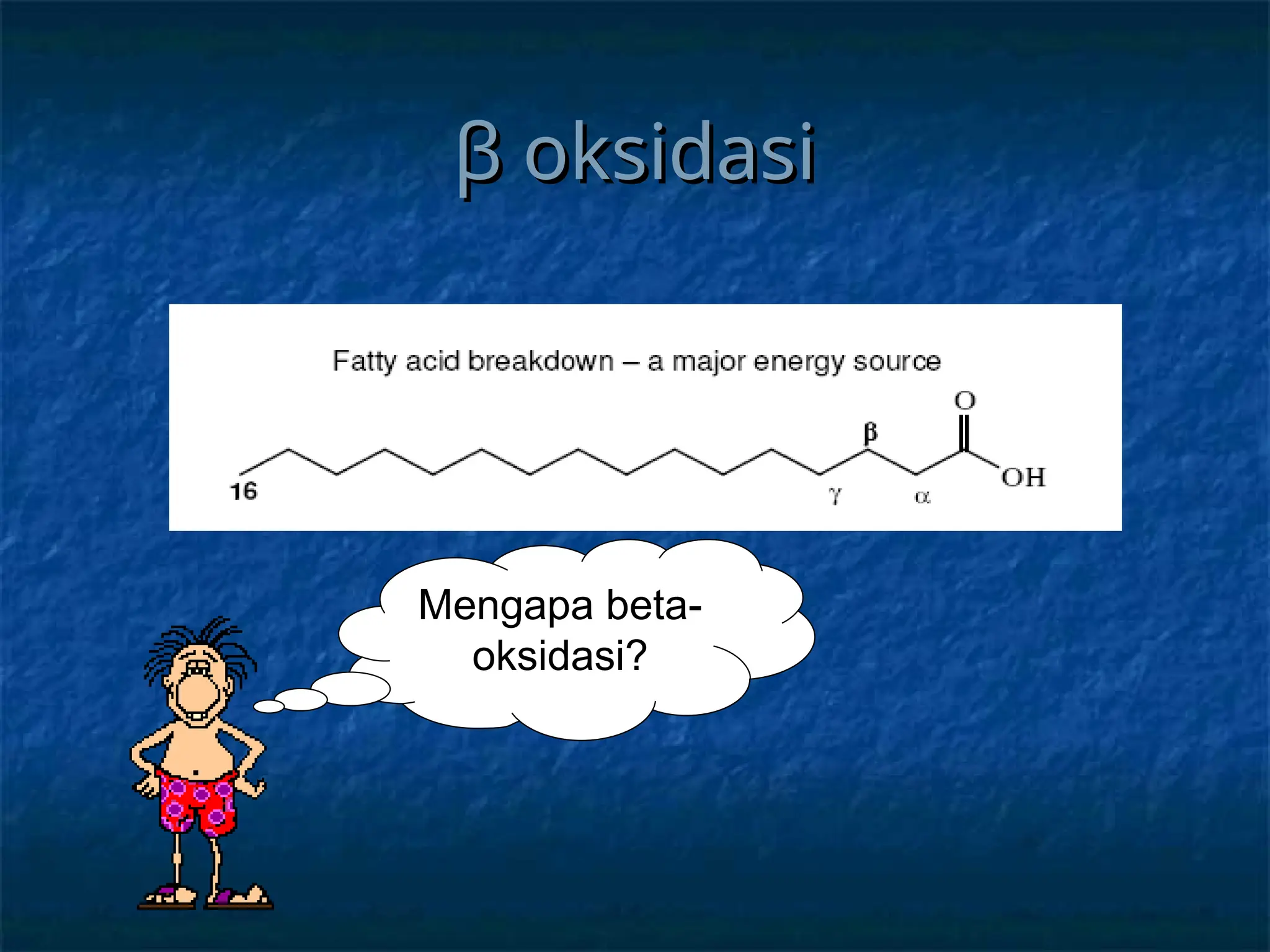Metabolisme Lipid Metabolisme Lipid Metabolisme Lipid | PPT