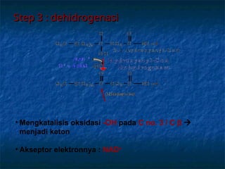 Metabolisme Lipid Metabolisme Lipid Metabolisme Lipid | PPT