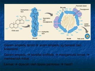 Metabolisme Lipid Metabolisme Lipid Metabolisme Lipid | PPT