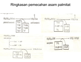 METABOLISME LIPID METABOLISME LIPIDMETABOLISME LIPID.ppt