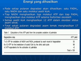Metabolisme lipid for tarbiyah | PPT