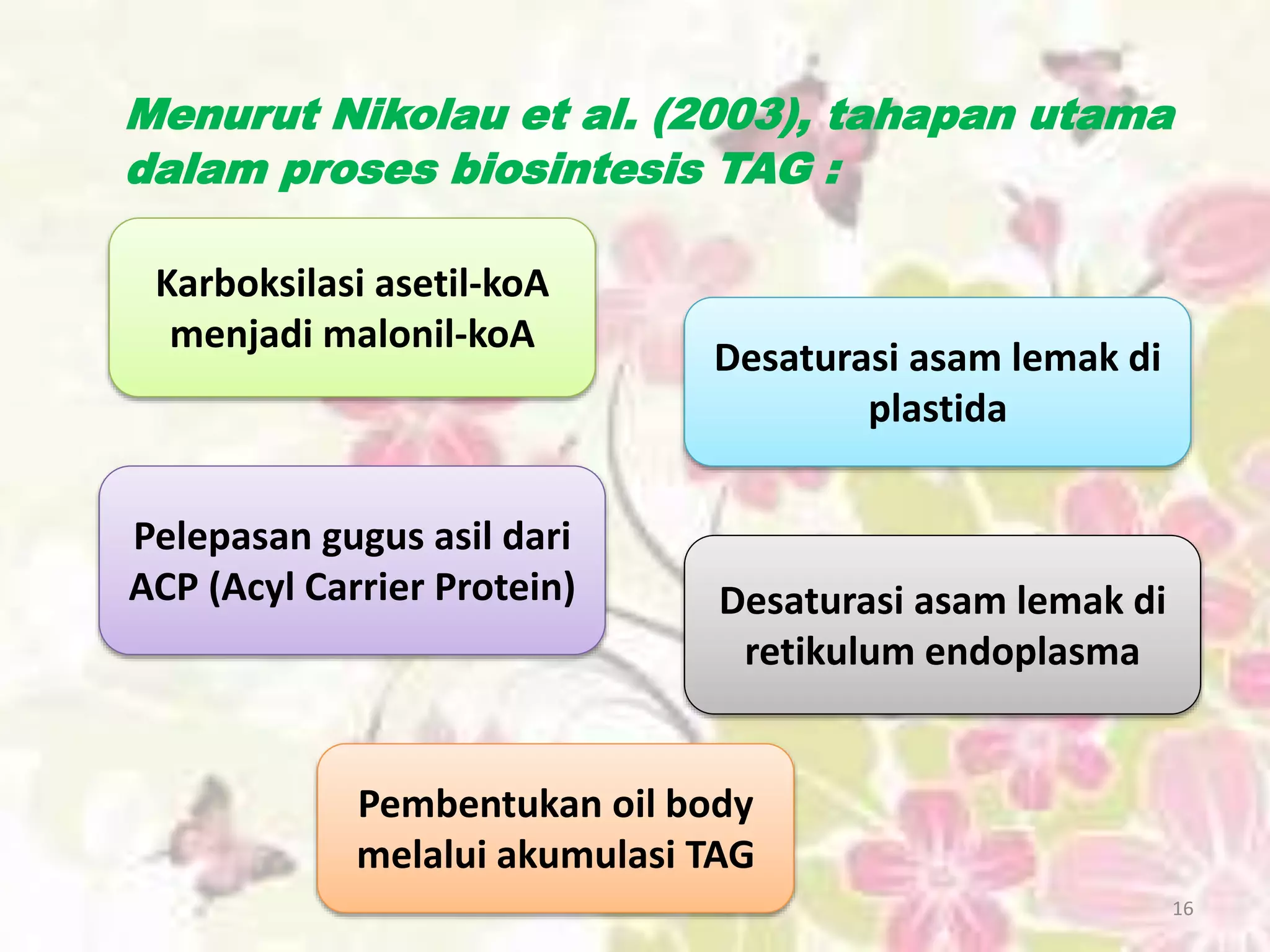 Metabolisme lipid pada buah kelapa sawit | PPTX
