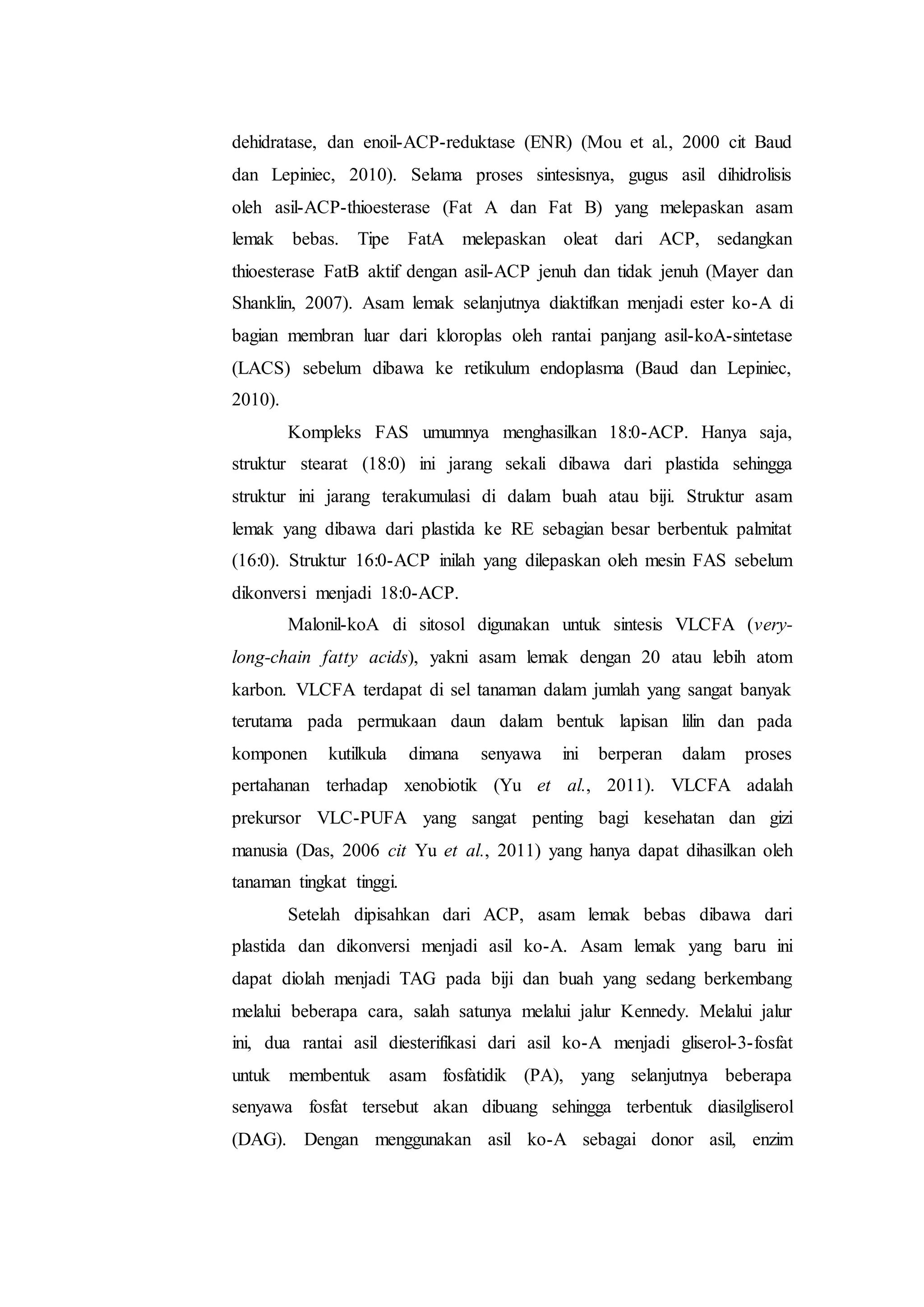 Metabolisme lipid pada tumbuhan | DOCX