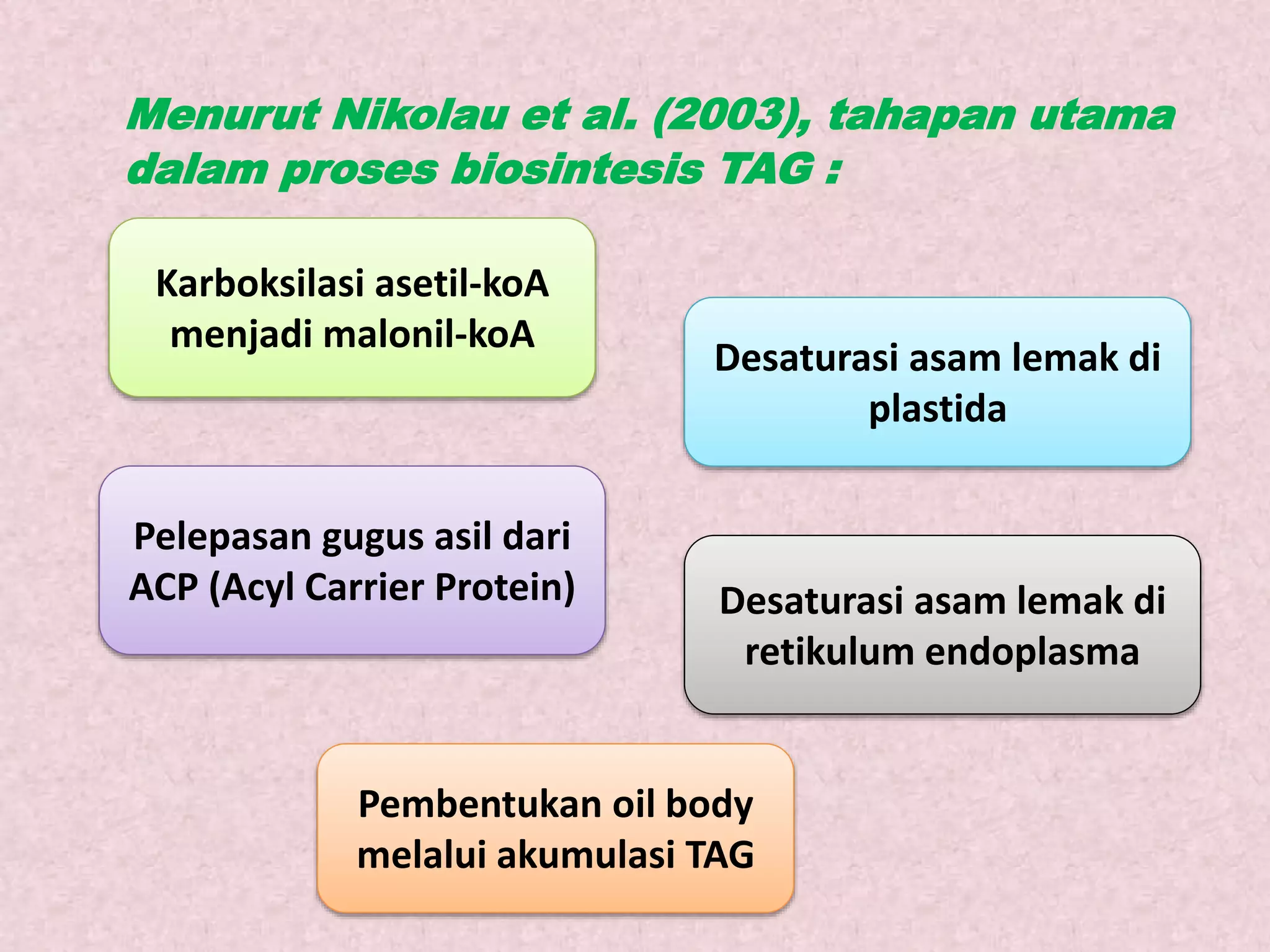 Metabolisme lipid pada tumbuhan | PPTX