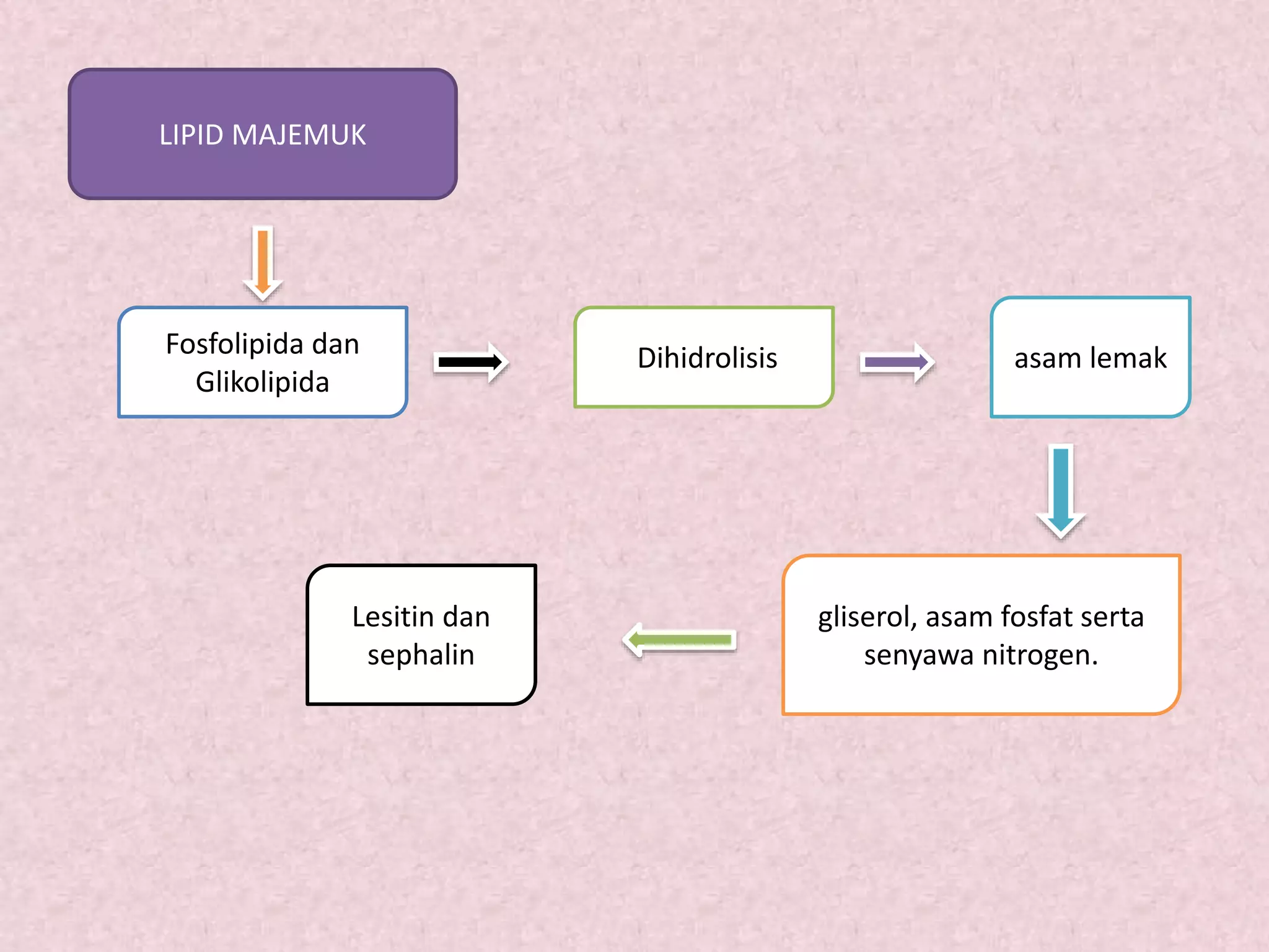 Metabolisme lipid pada tumbuhan | PPTX