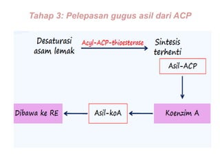 Metabolisme lipid pada tumbuhan | PPTX