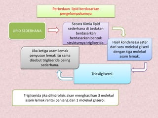 Metabolisme lipid pada tumbuhan | PPTX