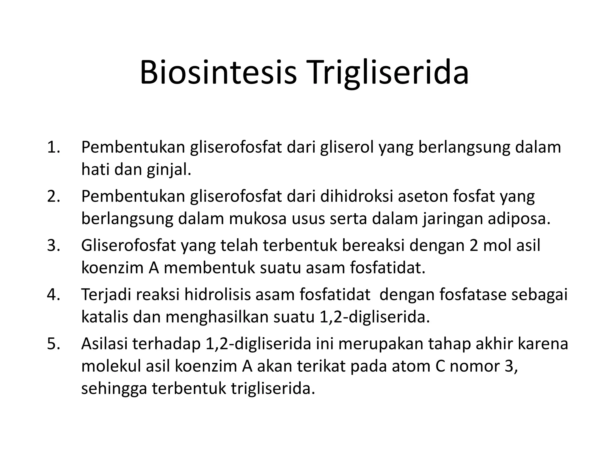 metabolisme_lipid_ppt.ppt