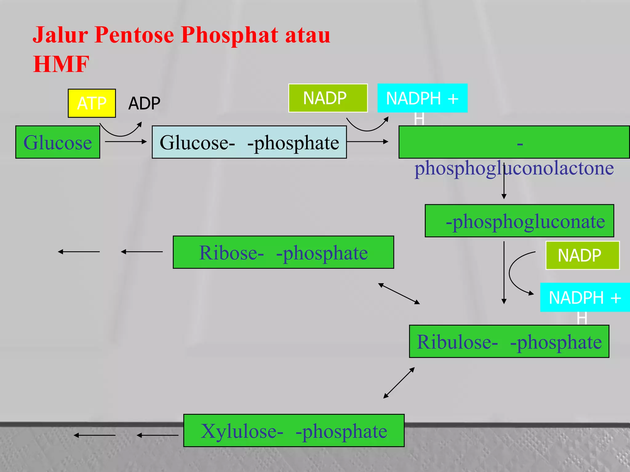 Metabolisme mikroba mikroorganisme | PDF