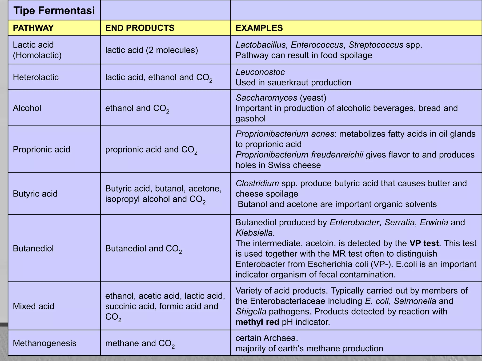 Metabolisme mikroba mikroorganisme | PDF