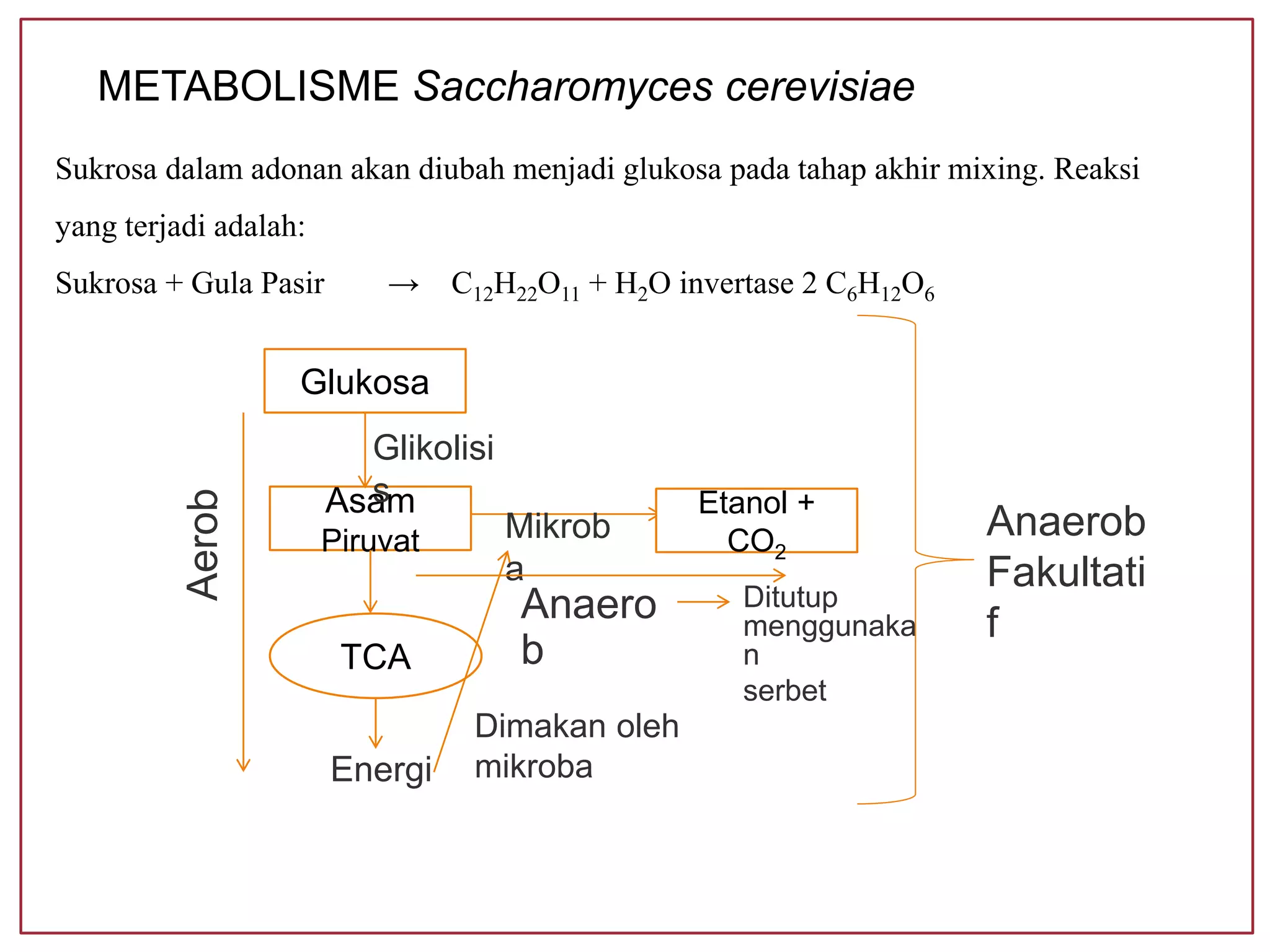 Metabolisme Mikroba Pada Donat | PPT
