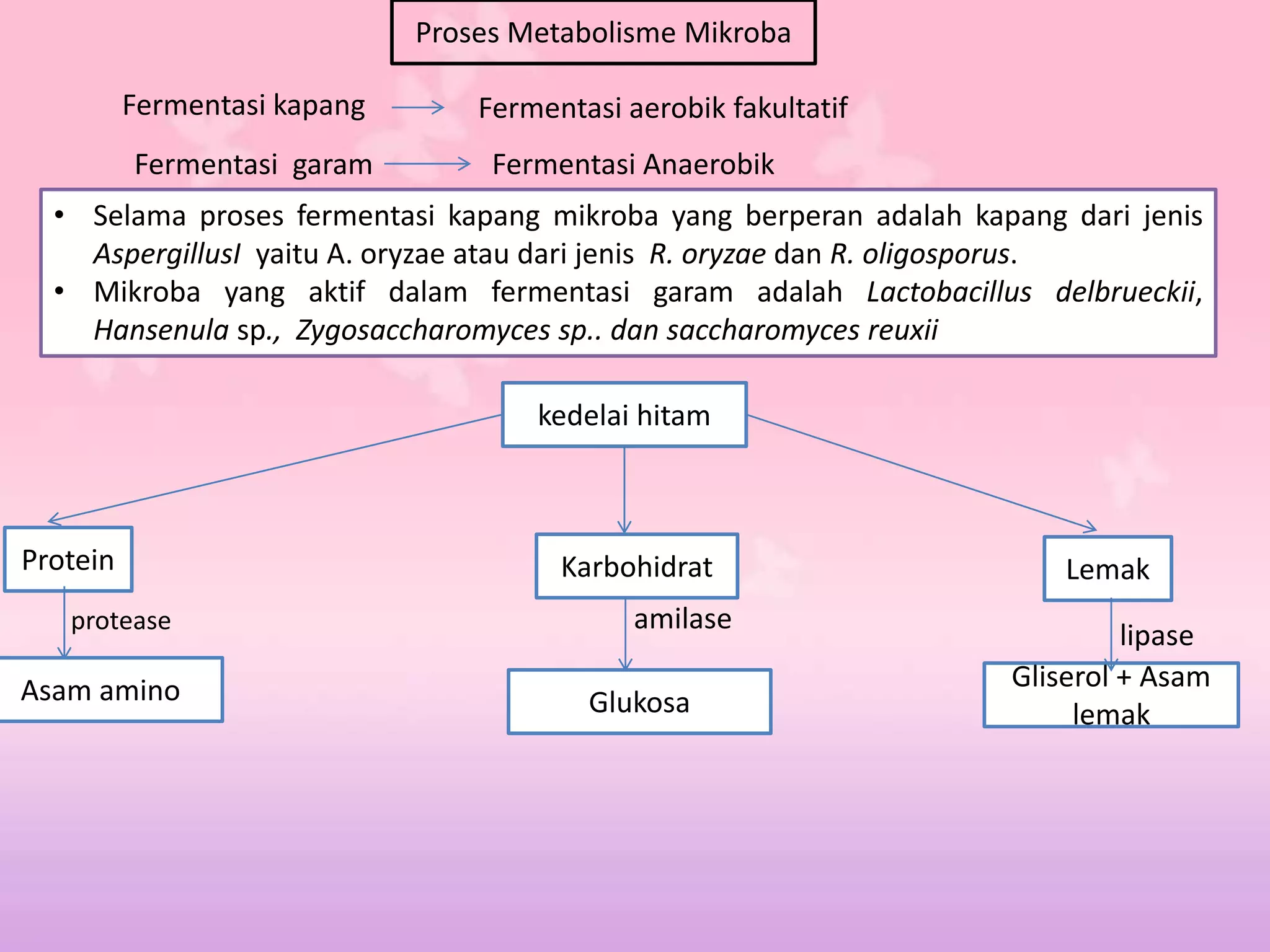 Metabolisme Mikroba Pada Tauco | PPTX